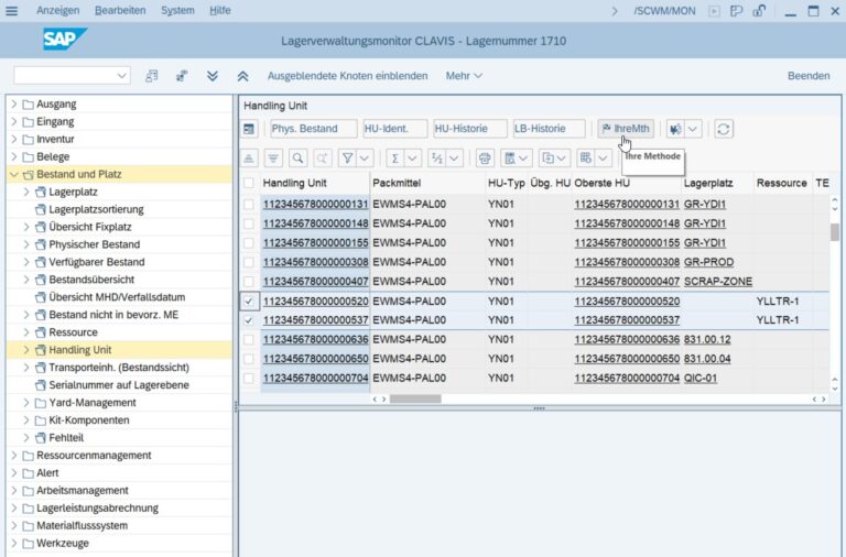 SAP EWM: Lagerverwaltungsmonitor erweitern